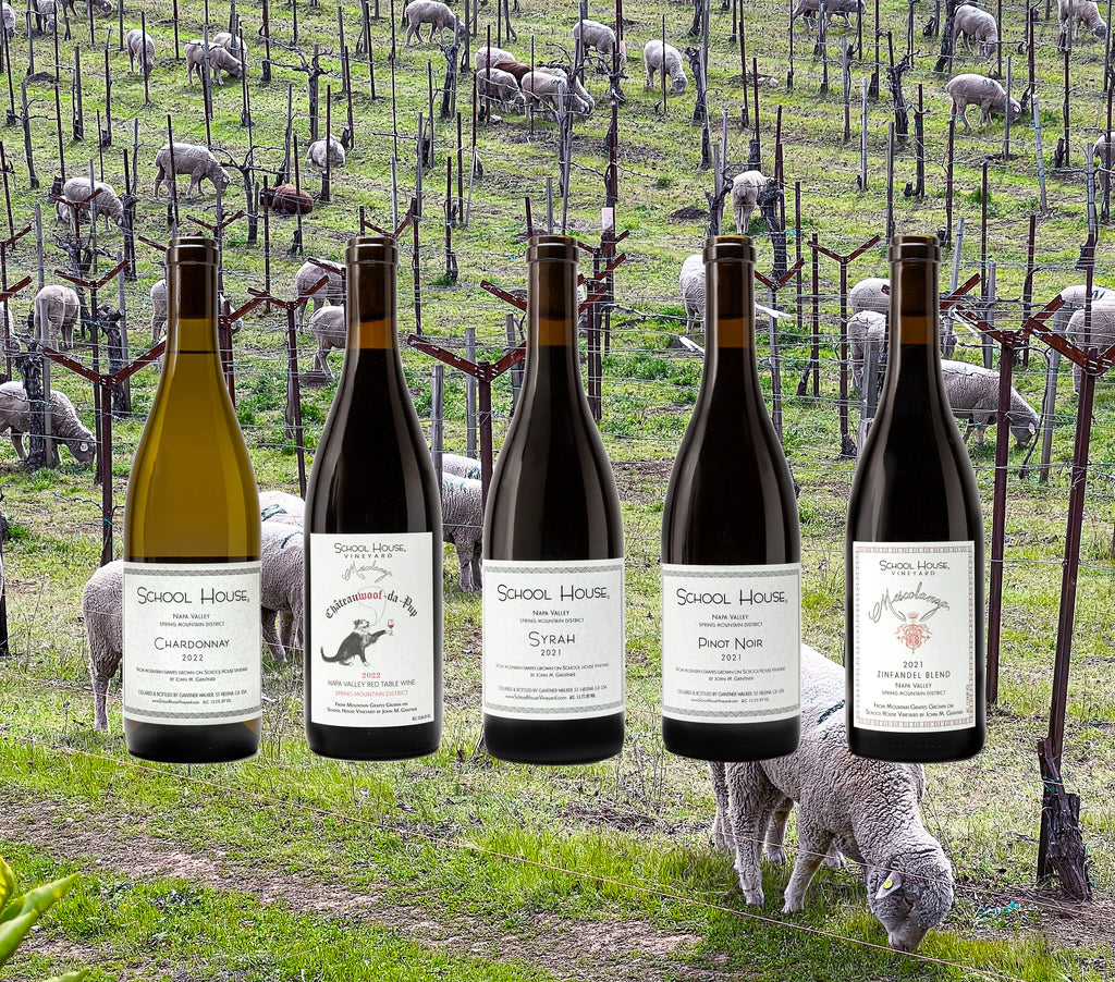 M2025 New Release Wines (Mags) – School House Vineyard